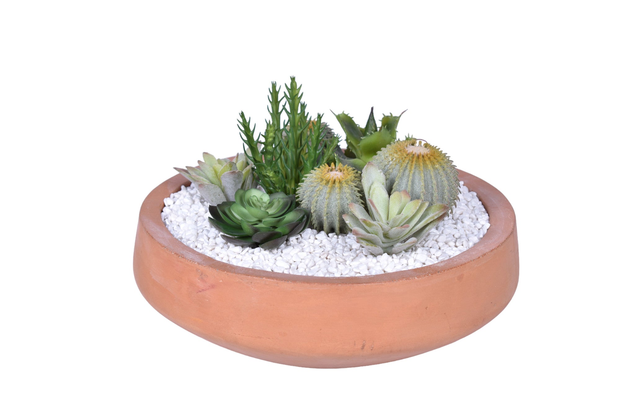 Burnt Orange Mack Bowl Cactus Garden AR1245