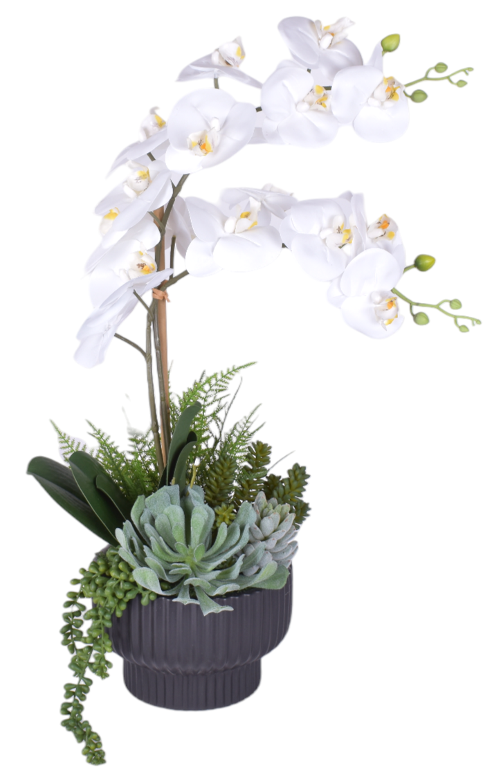 8" Black Wally Pot with Orchid Arrangement AR1807