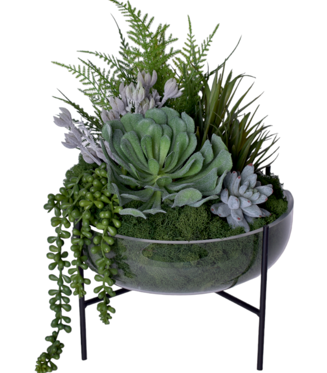 10.25" Sadie Bowl with Succulent Arrangement AR1810