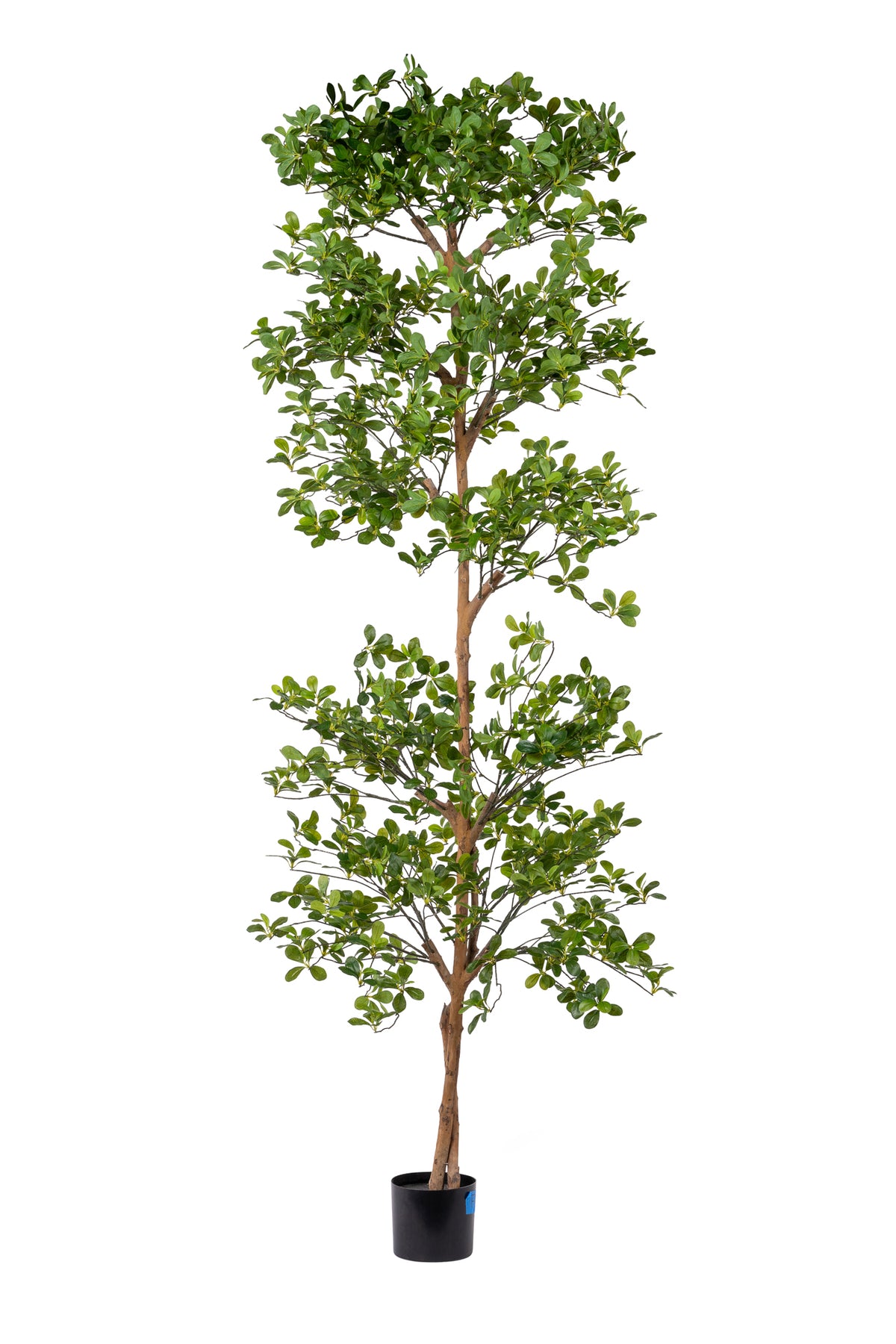 8' Shady Lady Tree FP1238 – Replica Plants and Decor