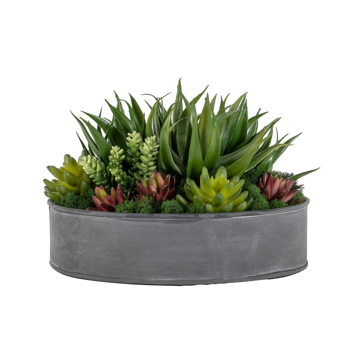 12" Nico Tray with Moss and Succulents AR1579 – Replica Plants and Decor
