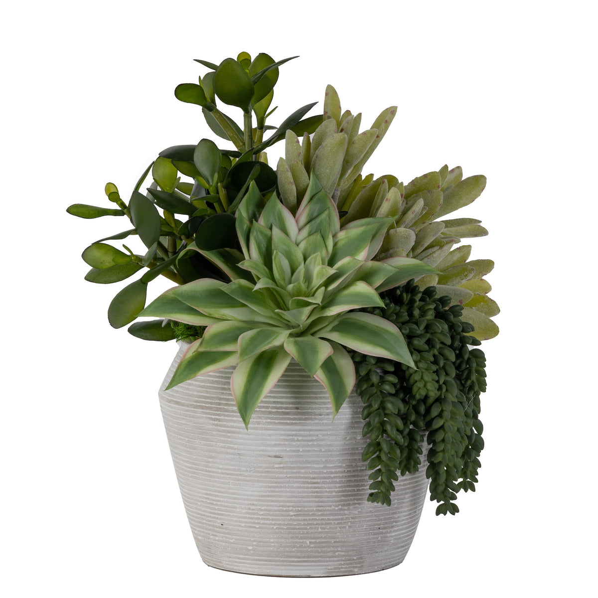Grayson Pot with Succulent Arrangement AR1605 – Replica Plants and Decor