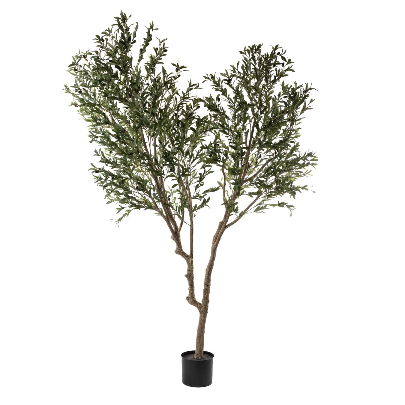 Olive – Replica Plants and Decor