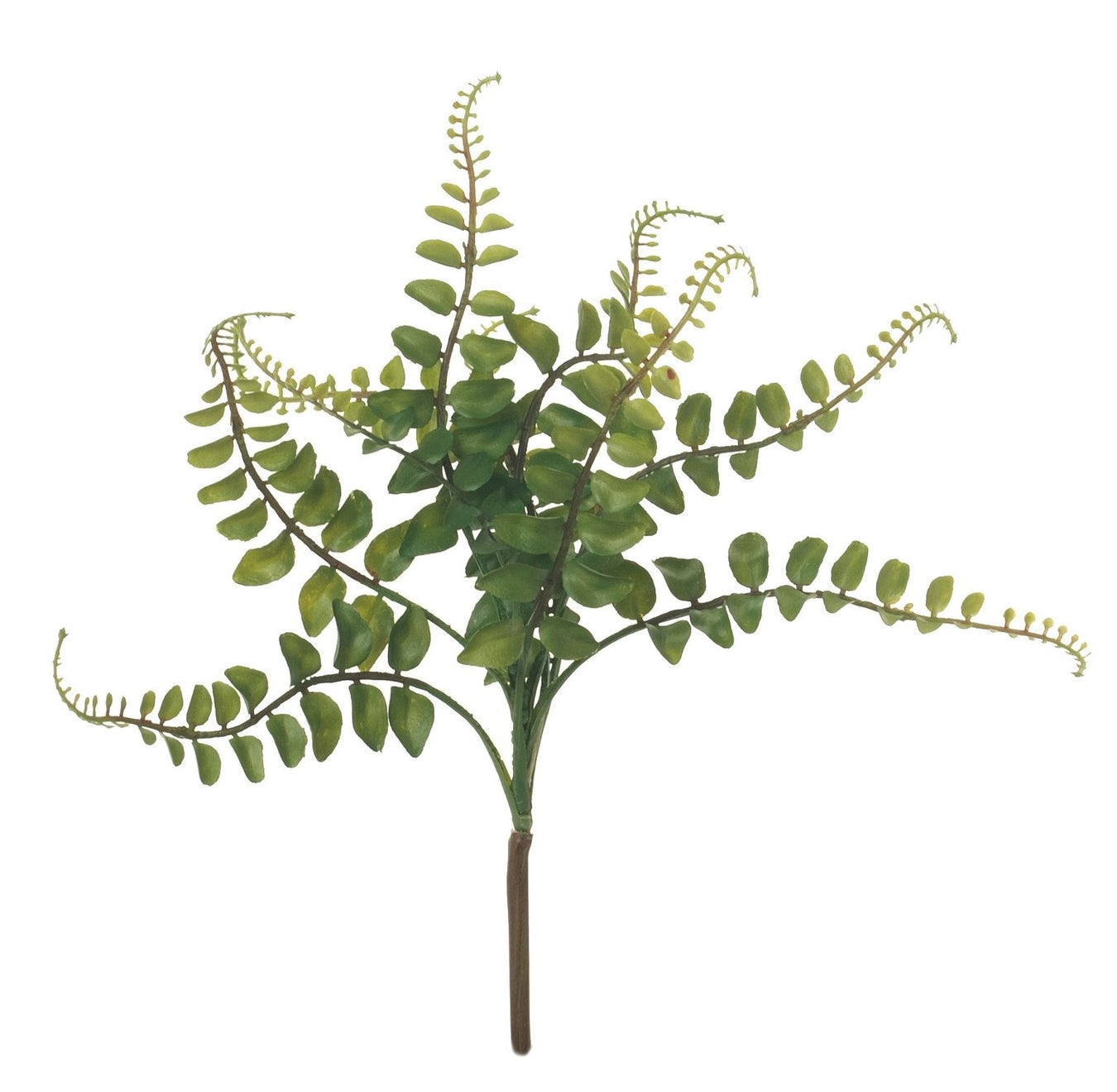 Florals and Greenery – Replica Plants and Decor