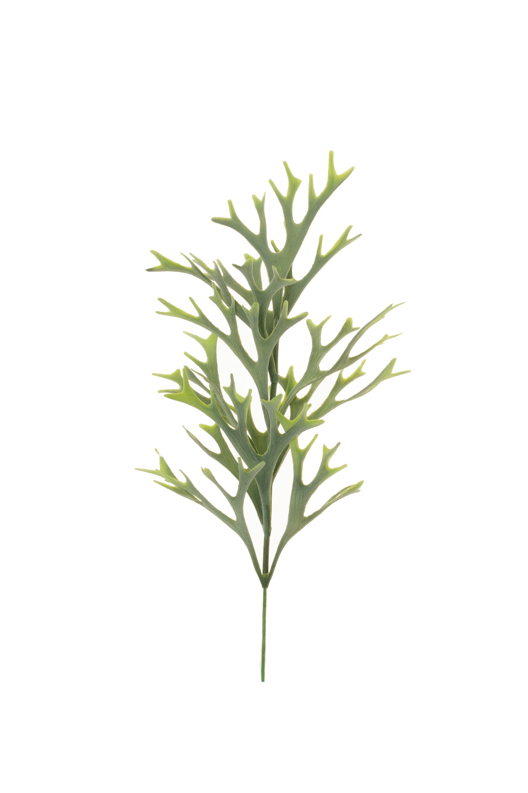 Florals and Greenery – Replica Plants and Decor